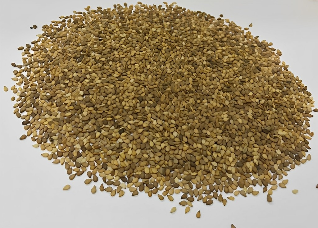 Seeds and Spices – AMD-VERDE